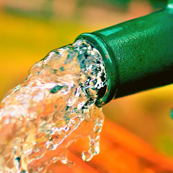 How to Test for Coliform Bacteria in Your Well Water | Your H2Home